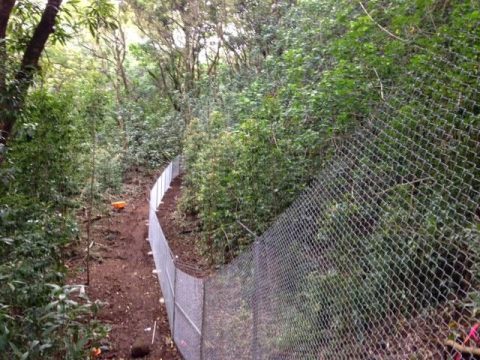 Projects - Mountain Methods